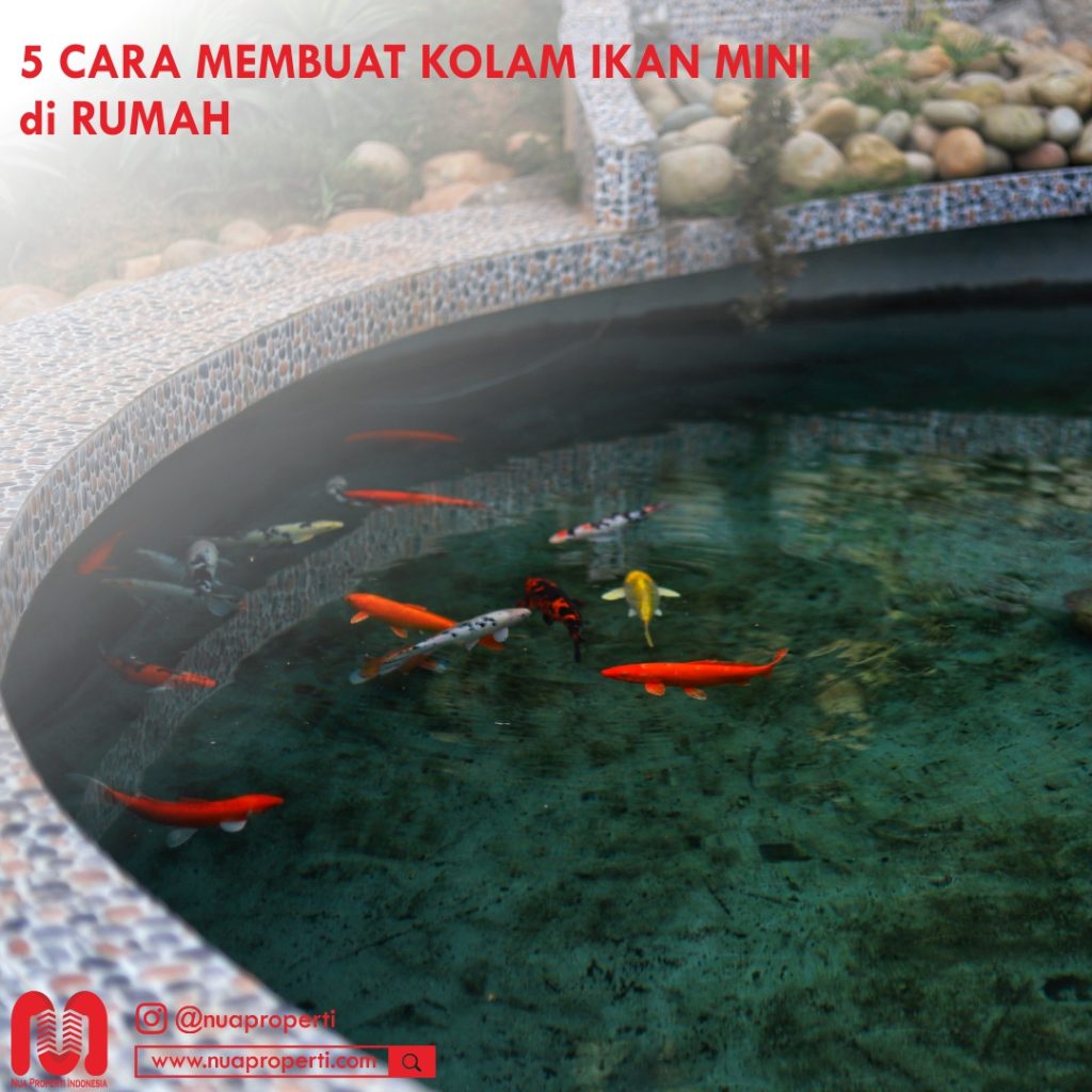 5 Cara Membuat Kolam Ikan Mini di Rumah - NUA PROPERTI